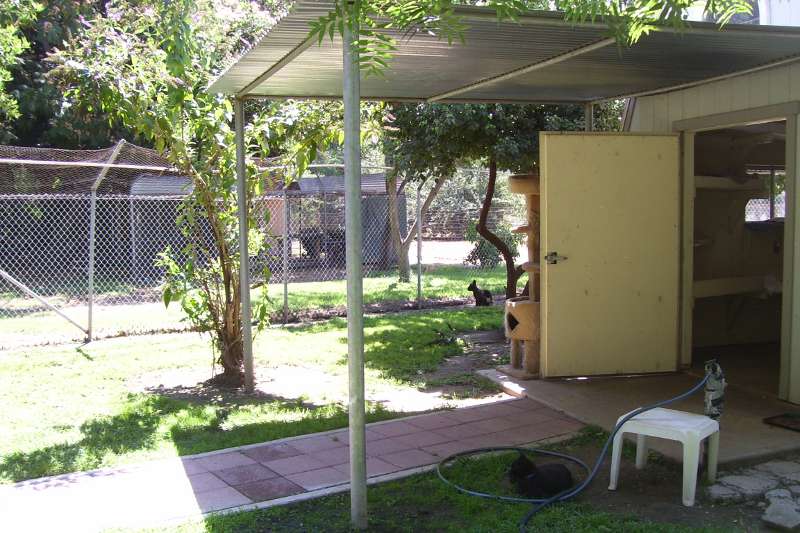 Pasture Project - Click to enlarge